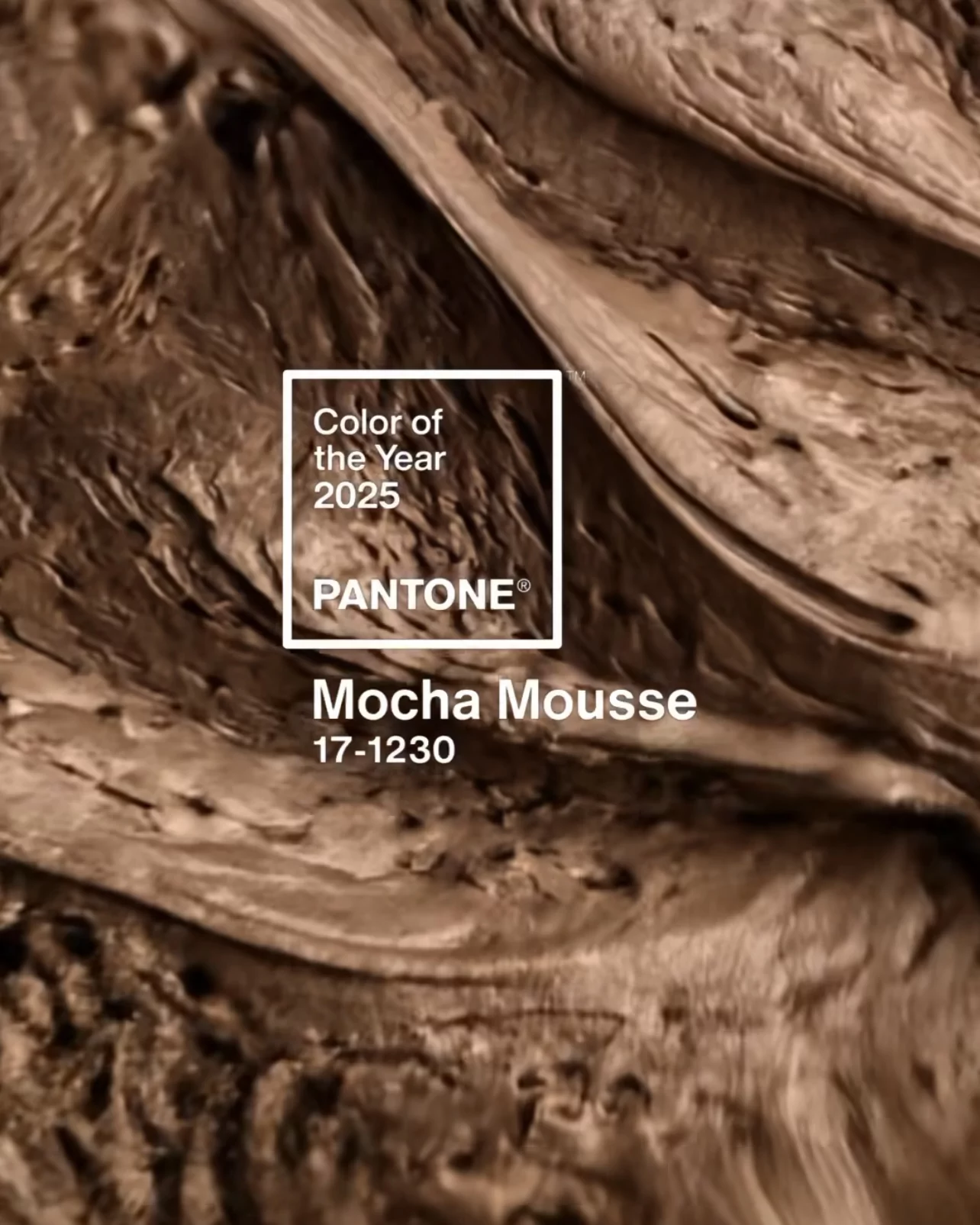 PANTONE 17-1230 - Hardware